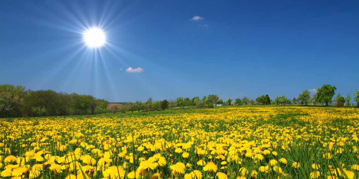 Weekenden bliver et vendepunkt: Sådan bliver vejret de næste dage
